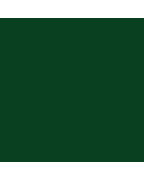 Custom Mixed Paint :: Other :: Bay Green Interior SEM5231