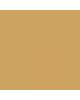 Ford Desert Tan